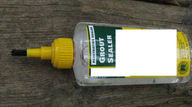 Pernicious Privet - Beech Hollow Farms