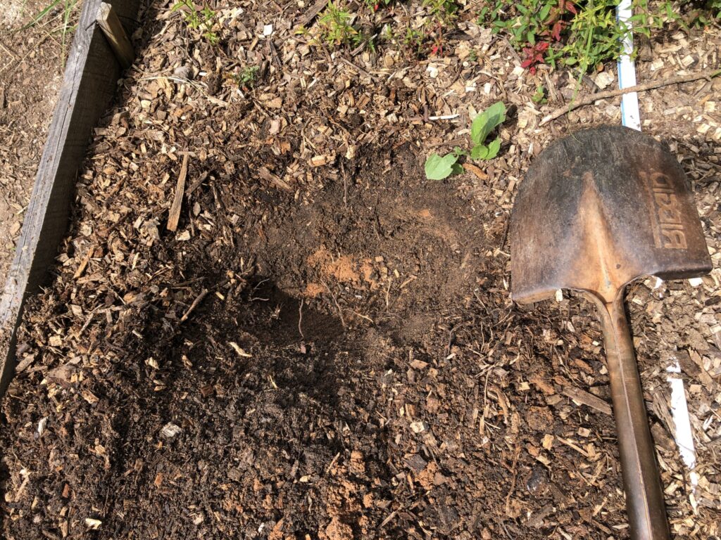 How to Build Your Soil - with Jeff Killingsworth - Beech Hollow Farms