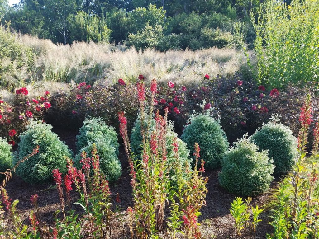 Plant Selection and Design (2 part class)'23 - Beech Hollow Farms