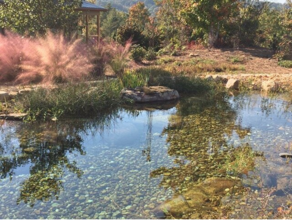 Manage Water with Rain Gardens & Native Plants - Beech Hollow Farms