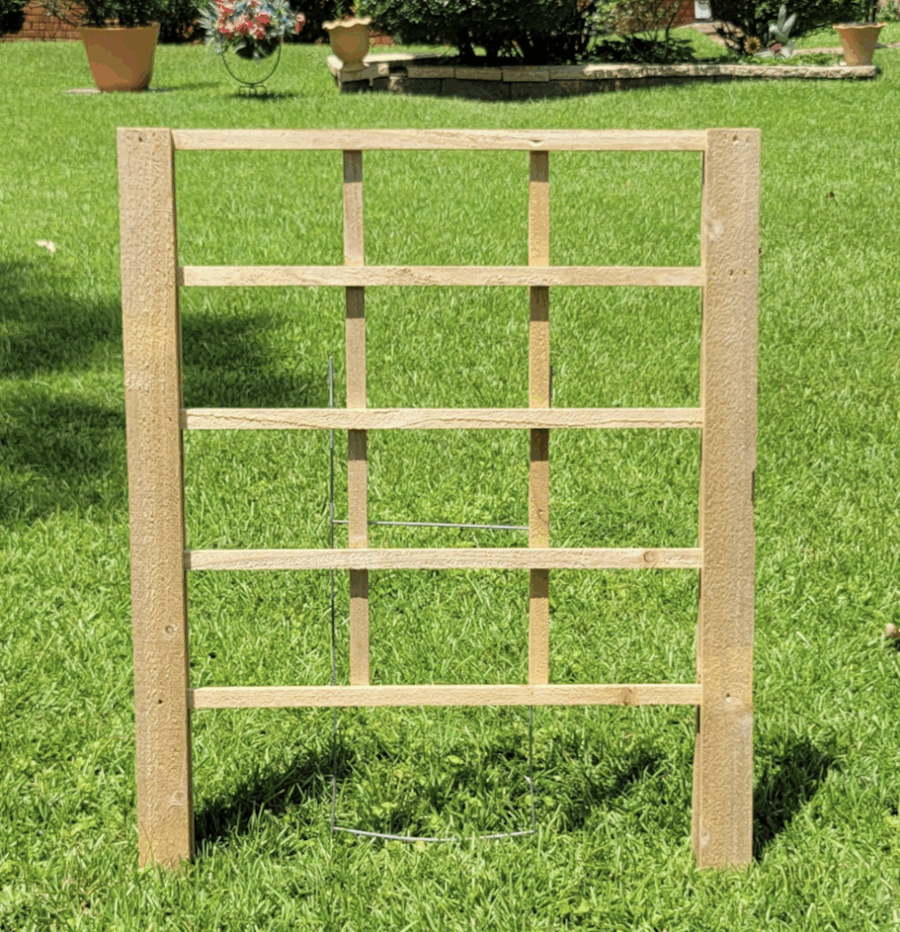 Removable Trellis by Garden Head Planters - Beech Hollow Farms